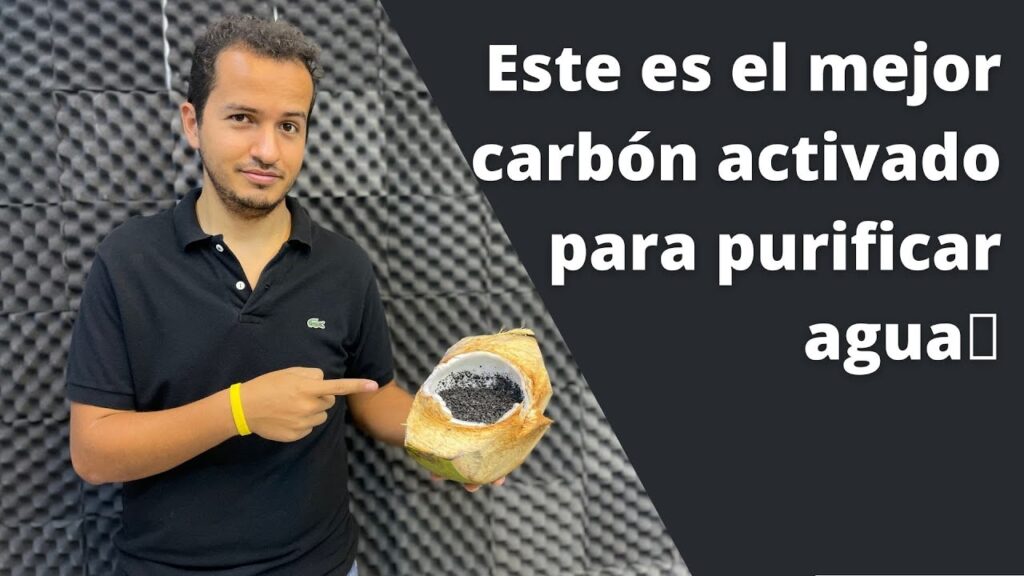 Consejos Para Volver a Activar Carbón Activado: Una Guía Paso a Paso ...